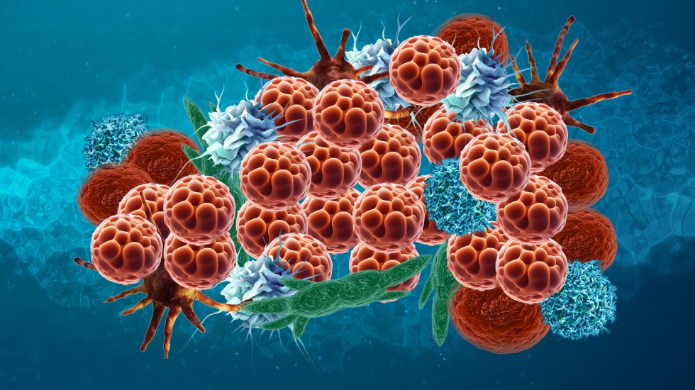 Biomimetic tumor engineering to enhance drug discovery | SDIR